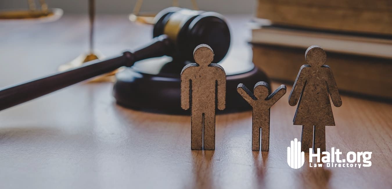 The Top 4 Common Family Law Cases - Halt.org