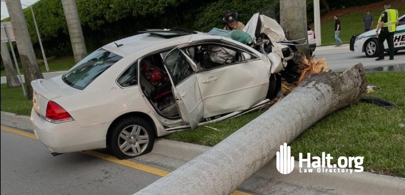 The Major Cause Of Car Crashes According To Research - Halt.org