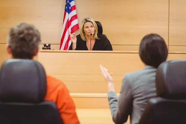 What Is A Motion Hearing In Family Court? - Halt.org