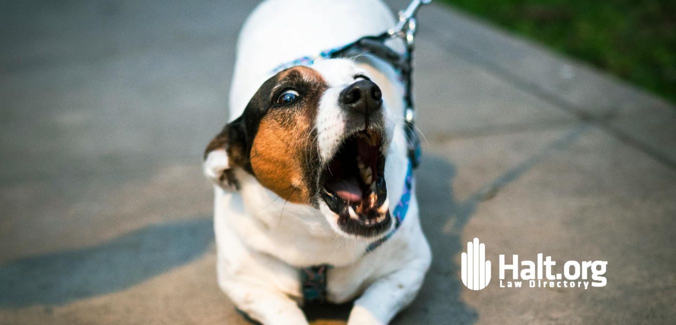 Strict Liability Vs. Negligence: How Dog Bite Cases Are Decided In ...